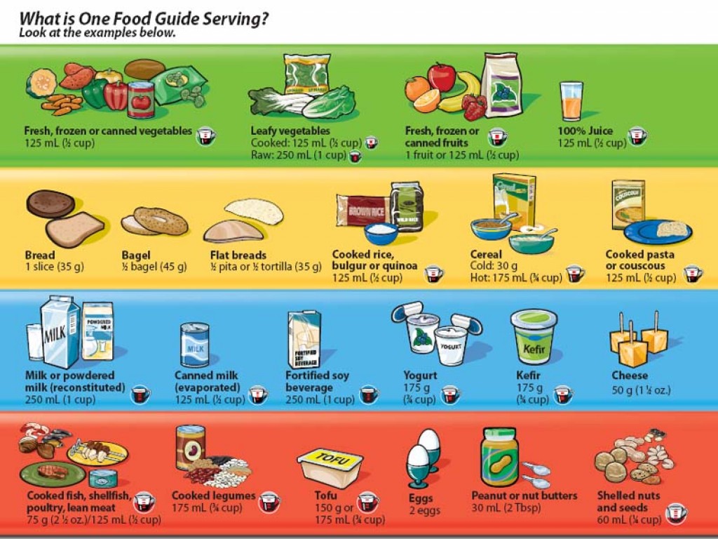 Healthy Living – Going Back to Basics to Ensure a Healthy Lifestyle ...