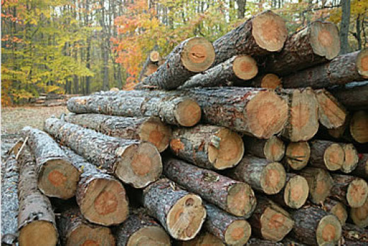 Timber : As A Material Of Construction | HubPages