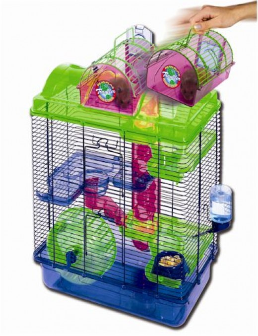 The Complete Guide to Pet Mice | PetHelpful