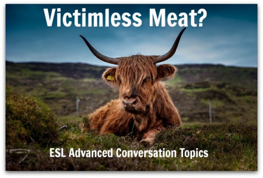 ESL Advanced Conversation Topics Victimless Meat HubPages