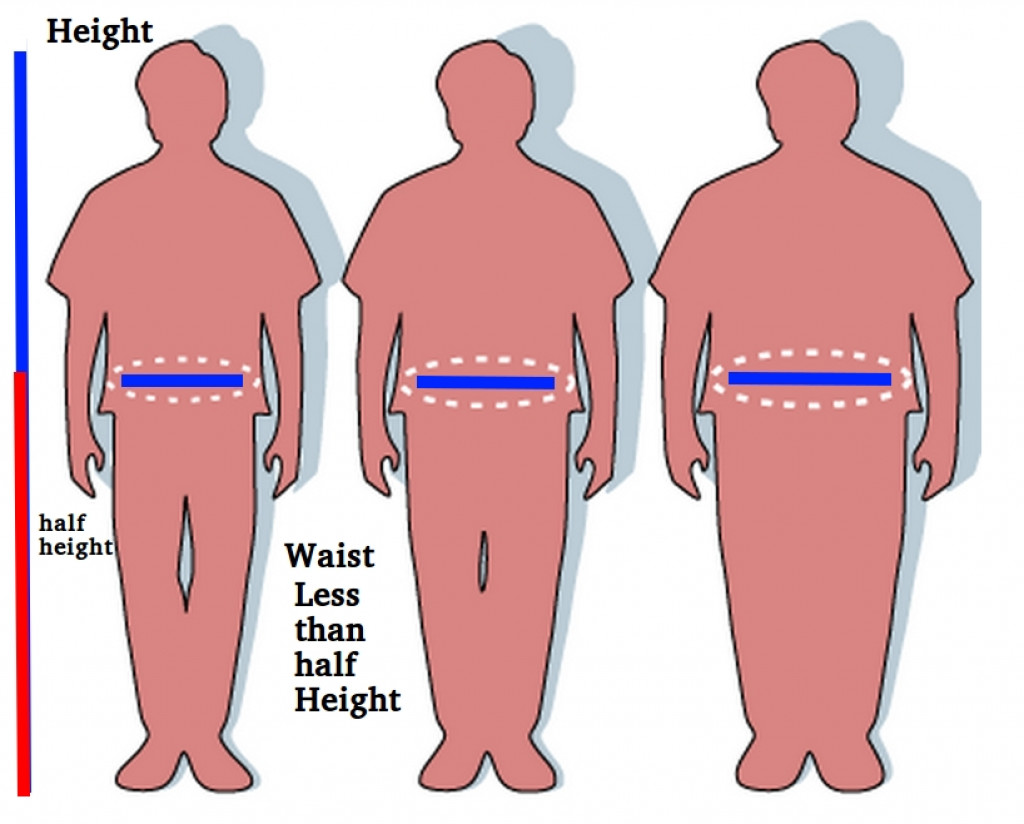 Waist To Height Ratio Better Than BMI For Checking Body Fat HubPages Waist To Height Ratio Better Than BMI For Checking Body Fat HubPages