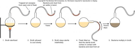 Louis Pasteur Spontaneous Generation And Germ Theory