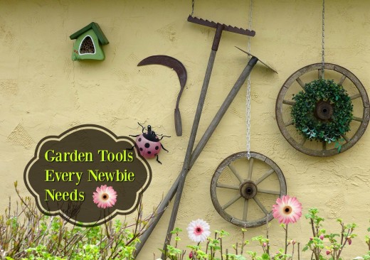 A Basic Guide To Essential Garden Tools For Beginners | Home Garden ...
