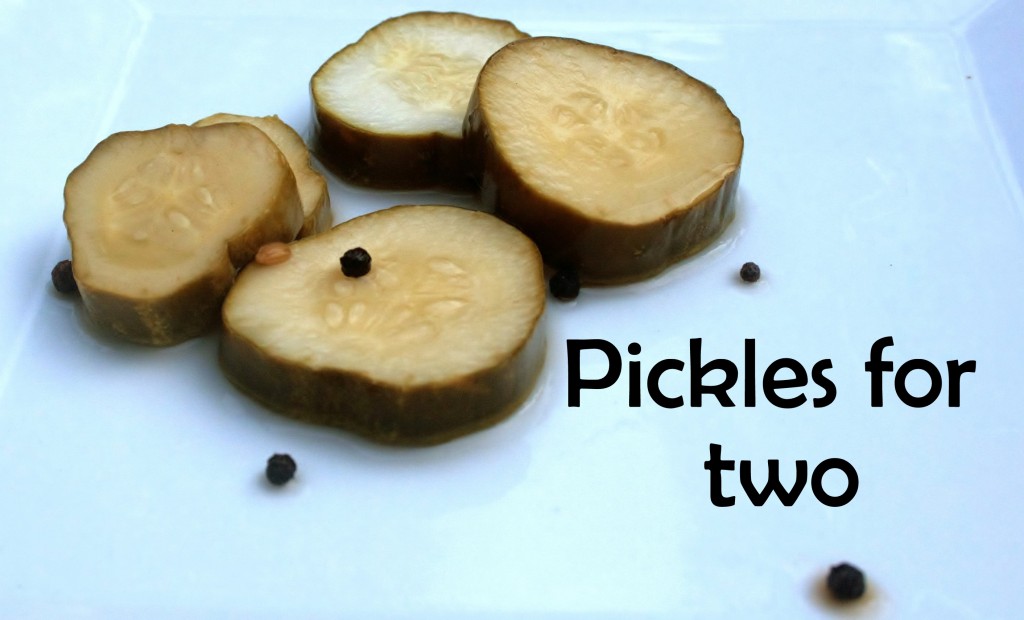 Dill Pickles for Two | HubPages