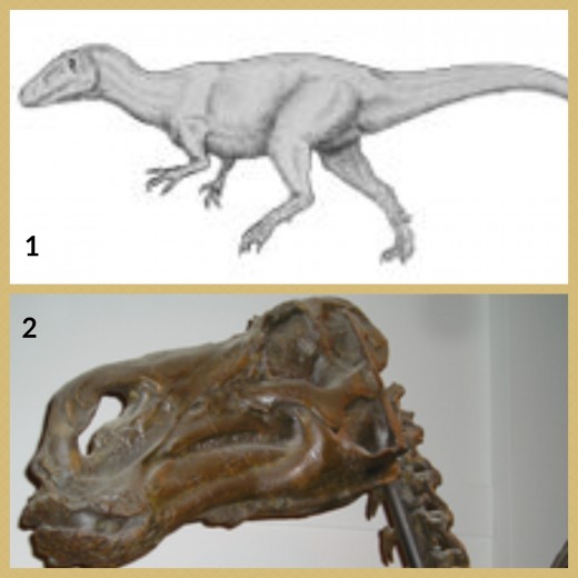 A to Z Guide of Dinosaurs | HubPages