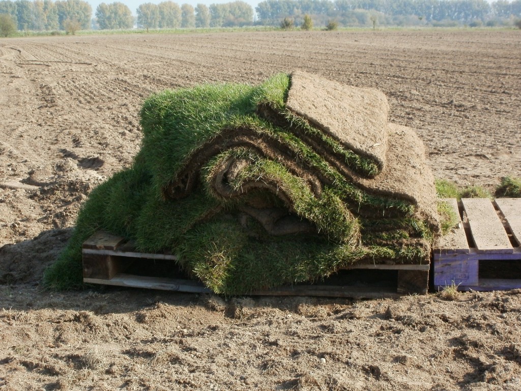 How to Install Sod | HubPages