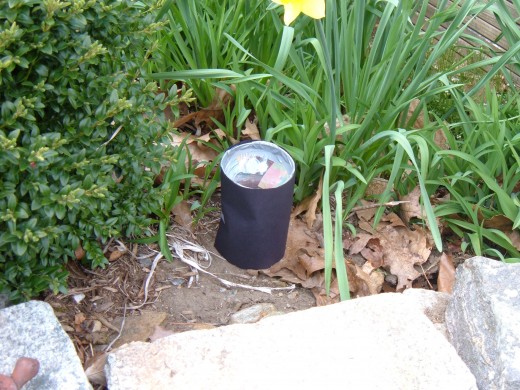 How to Make a Homemade Mosquito Trap | Dengarden