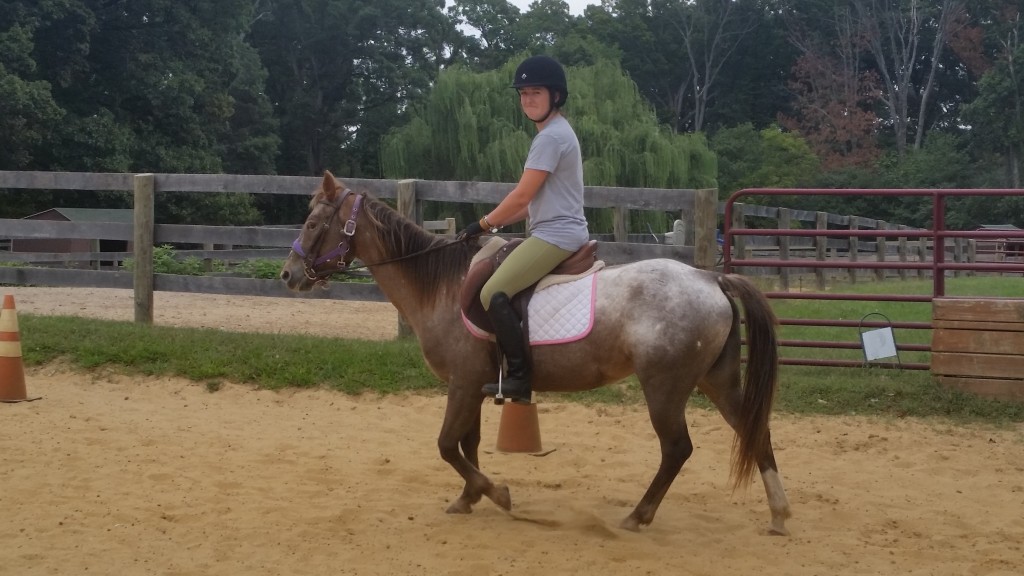 Lessons From Lesson Horses- Chapter 8 | HubPages