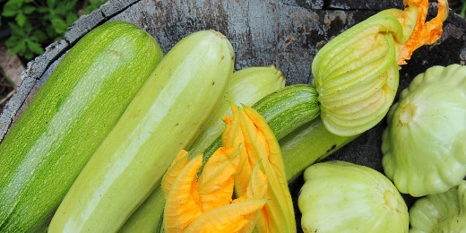 Vegetable Dishes | Delishably