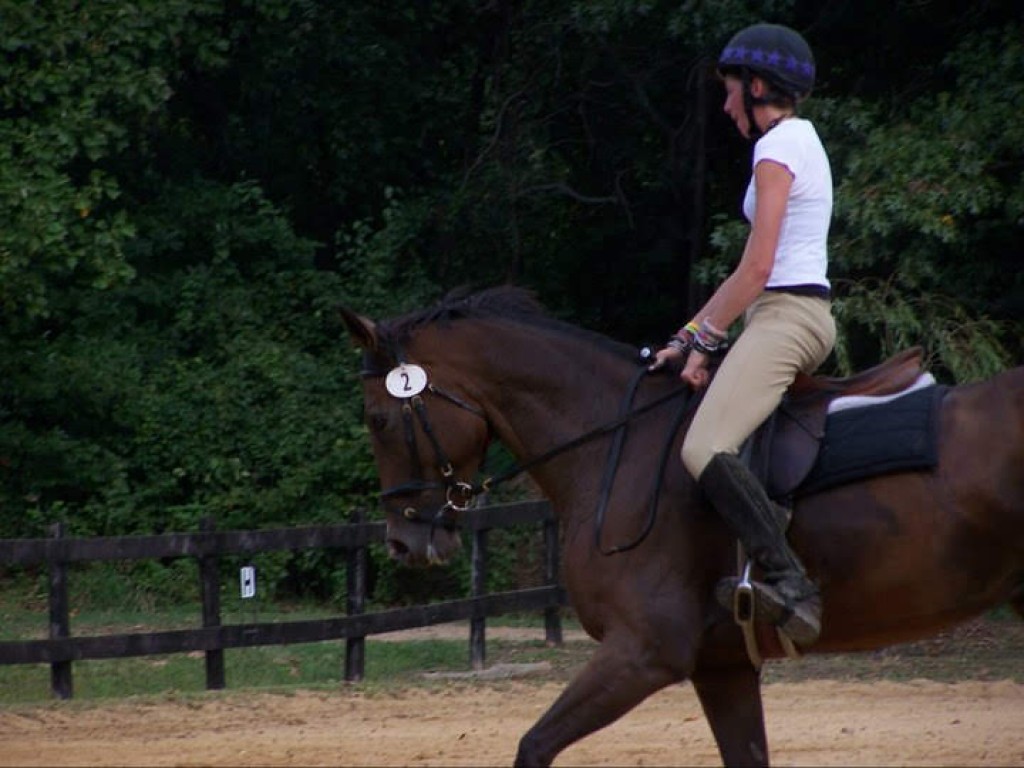 Example Riding Plan for a Week-Day 4 | HubPages
