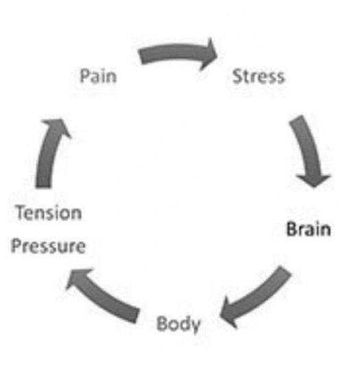 Stop Pain Recurrence | HubPages