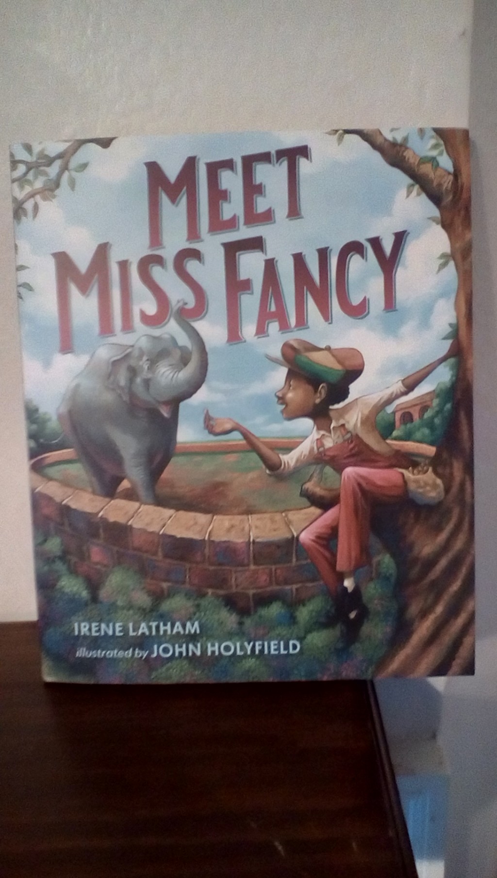 Elephant and a Little Boy Together Make a Difference for Civil Rights ...