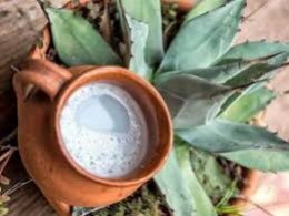 Origin, Properties, Elaboration and Future of Pulque | HubPages