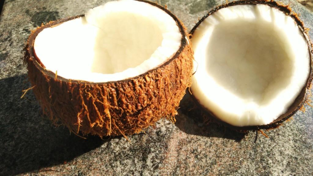 Easy Coconut Recipes for Beginners | HubPages