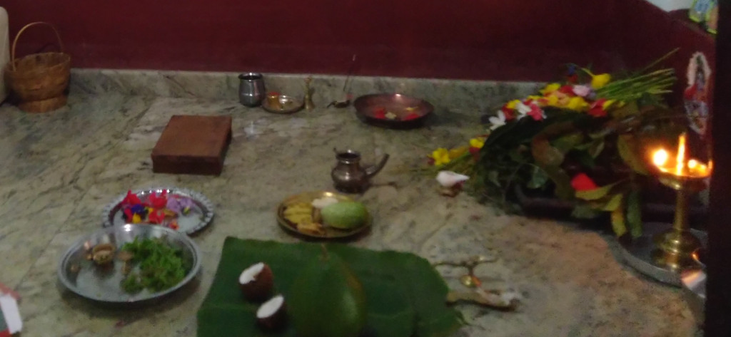 Traditional Ways of Life to Conserve Nature and Prosper Through ...