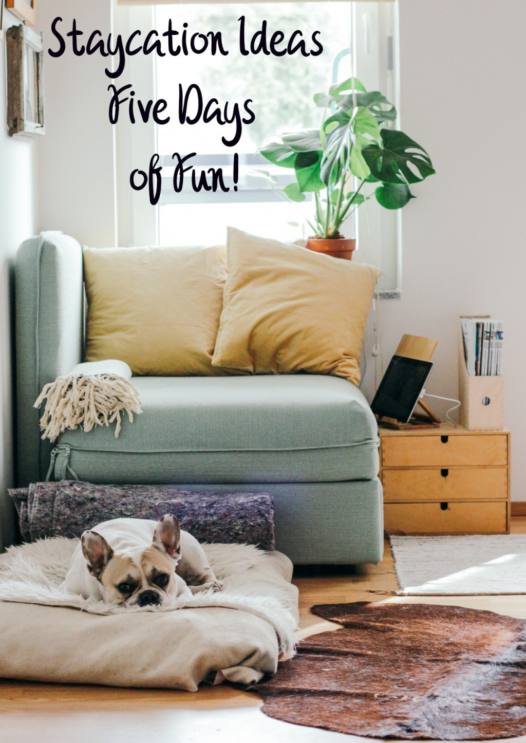 Staycation Ideas: Five Days of Fun! | HubPages