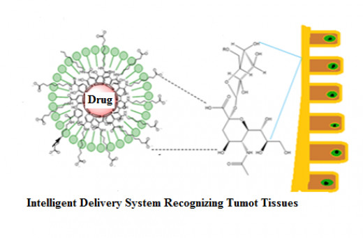 Nanotechnology in Health: Intelligent Delivery Systems for Making ...