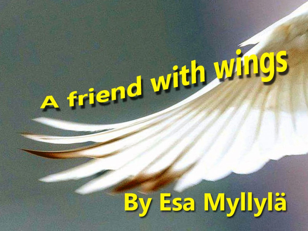 A Friend With Wings | HubPages