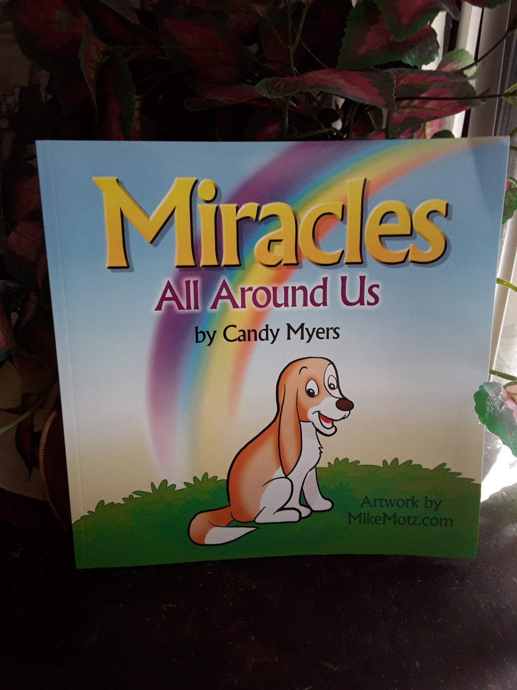 Miracles Around Us From a Dog's View in Charming Picture Book | HubPages
