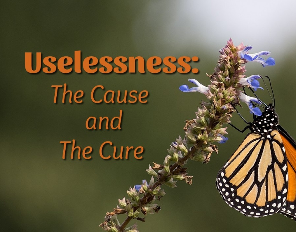 Uselessness