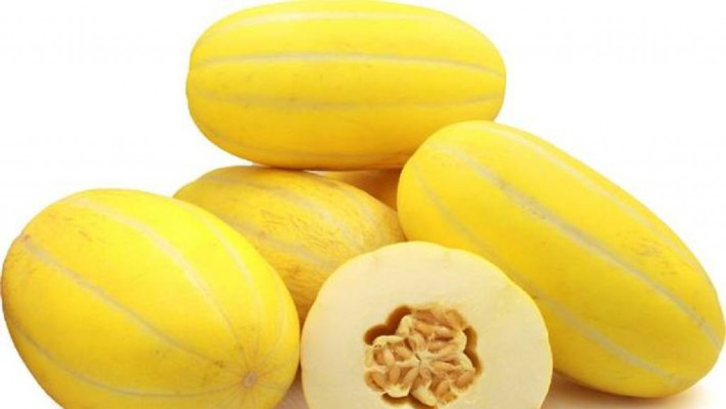 Possible ‘Sun Melon’ With Watermelon; How to Grow. | HubPages