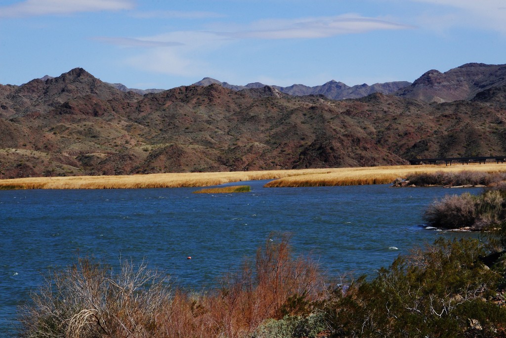 Lake Havasu Arizona Houseboat Vacations and Spring Break Adventures ...