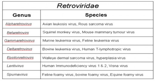 Example Image Retrovirus Diagram