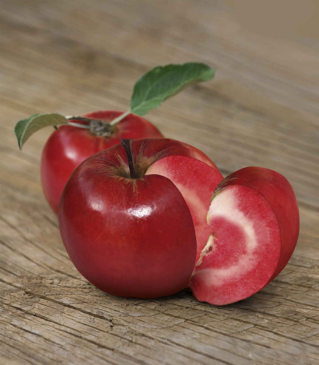 An Apple a Day | HubPages