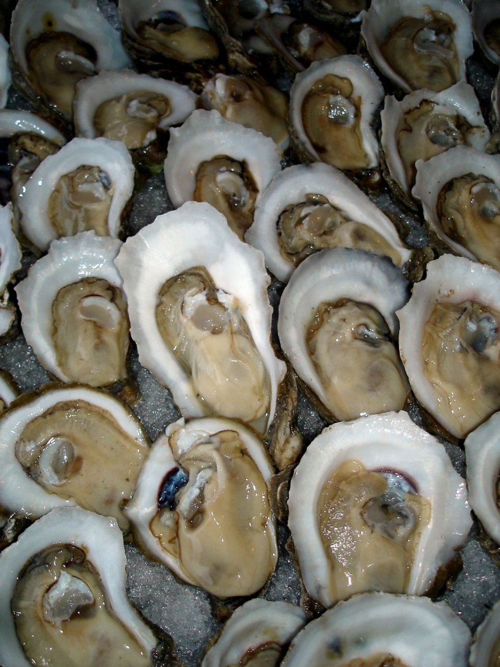 Oysters Recipes For The Most Famous Oyster Dishes And Oyster Information Hubpages