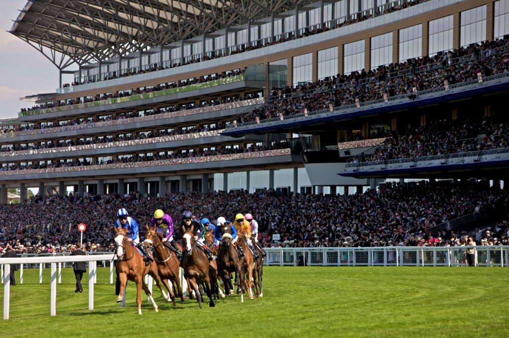 Famous Horse Racing Courses In England HubPages