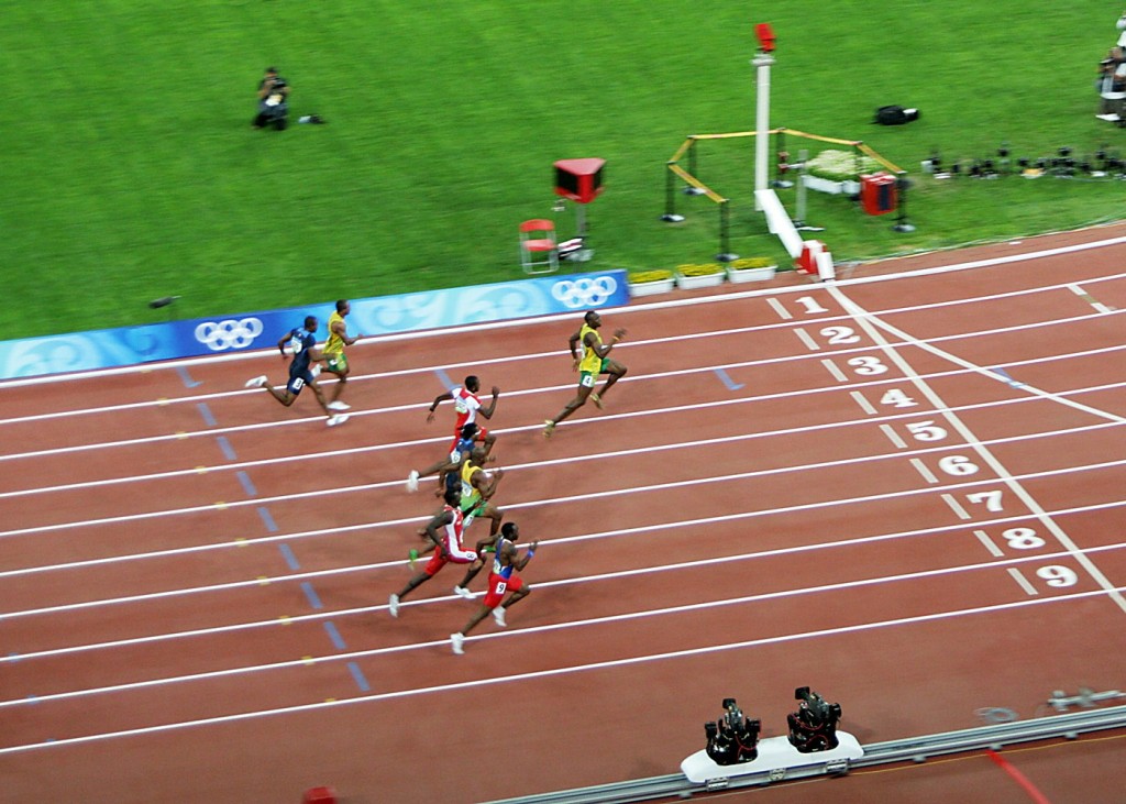 What Is The Fastest Animal In The World Hubpages What Is The Fastest Animal In The World Hubpages