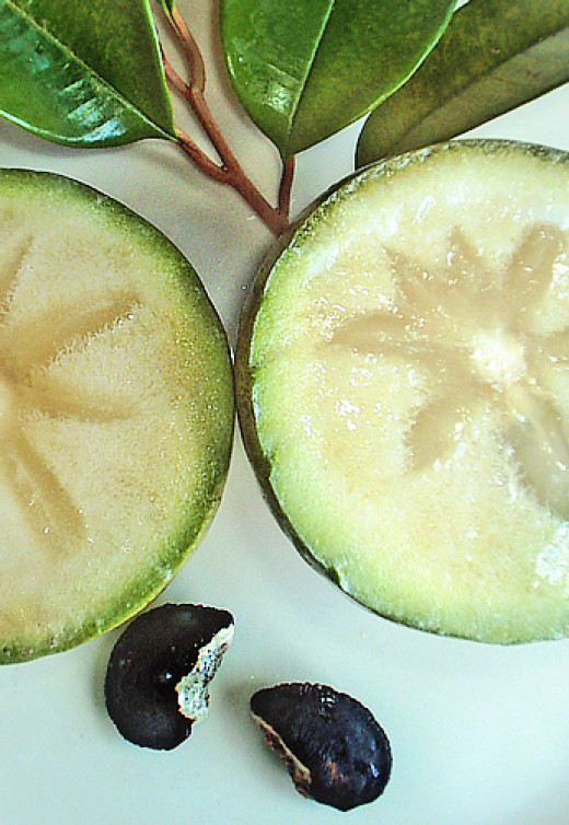 Tropical Taste of Hawaii: The Star Apple | Dengarden
