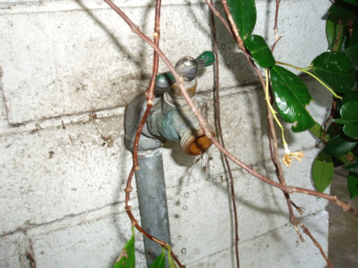 How to Replace an Outside Water Spigot | Dengarden