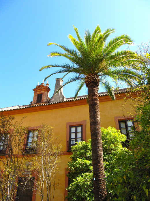 the-best-places-to-learn-spanish-efficiently-for-all-levels-hubpages