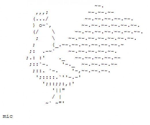 Year of the Rooster: Happy New Year ASCII Text Art | hubpages