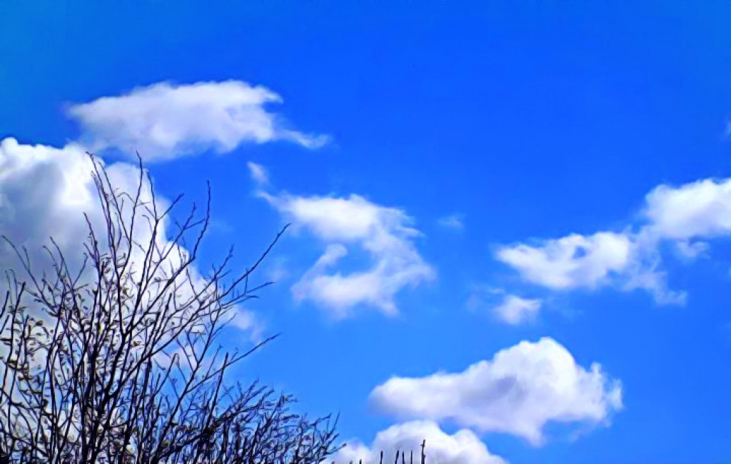 One Bright Sunny Morning.