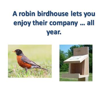 Robin Bird House Plans
