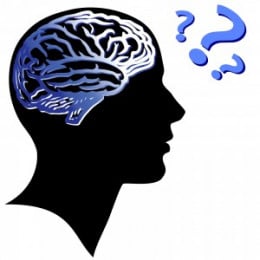 The Basics of the Human Memory System | HubPages