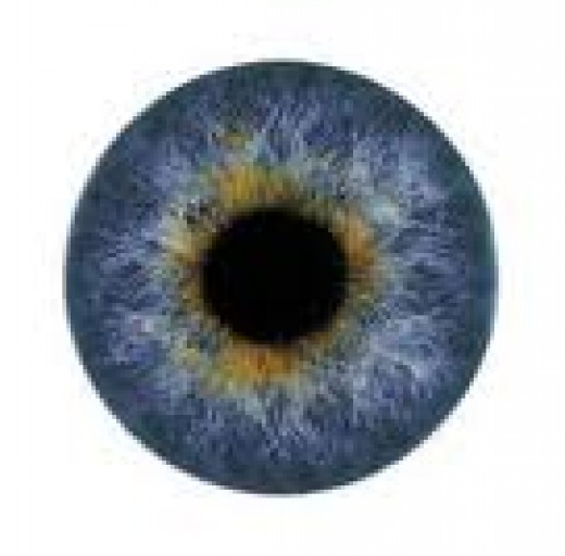 Causes Excessive Blinking Adults Bertylmuseum causes-excessive-blinking-adults-bertylmuseum