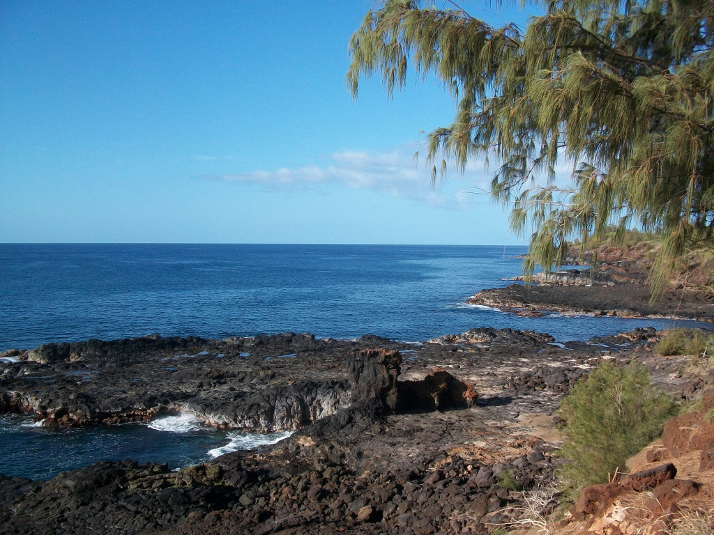 Type of Beaches: Strategies for Finding the Beach that Best Suits You ...