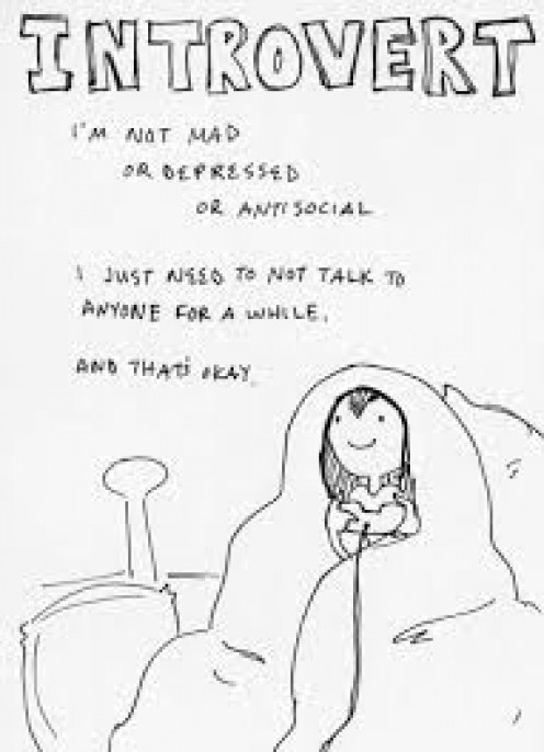 A Guide to Understanding Asocial Introverts | Owlcation