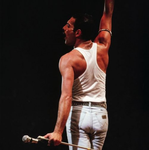 Freddie For A Day | HubPages