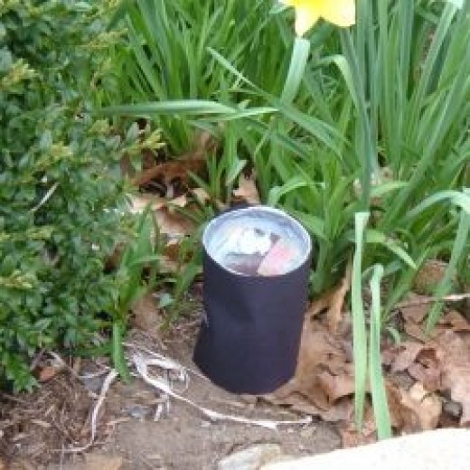 How To Make a Homemade Mosquito Trap | Dengarden