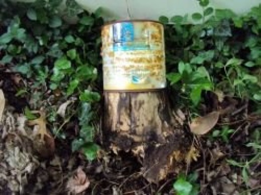 Tree Stump Removal The Lazy Way | Dengarden