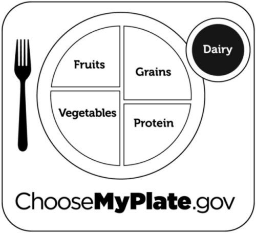 MyPlate Coloring Pages to Use | HubPages